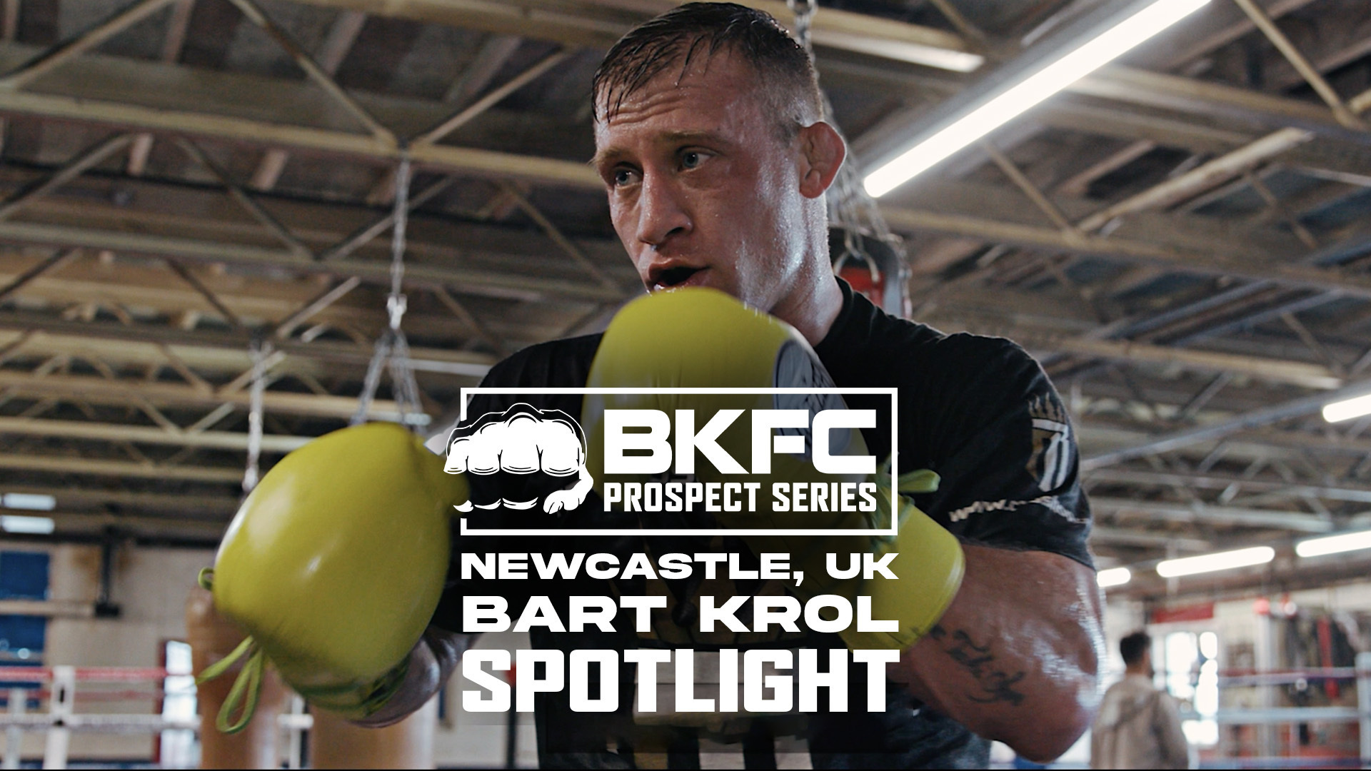 Spotlight: Bart Krol | Prospects Newcastle