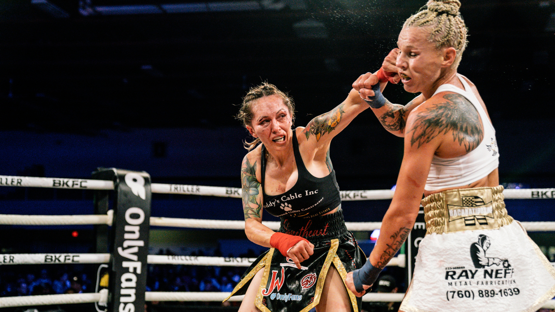 BKFC News : Bare Knuckle Fighting Championship