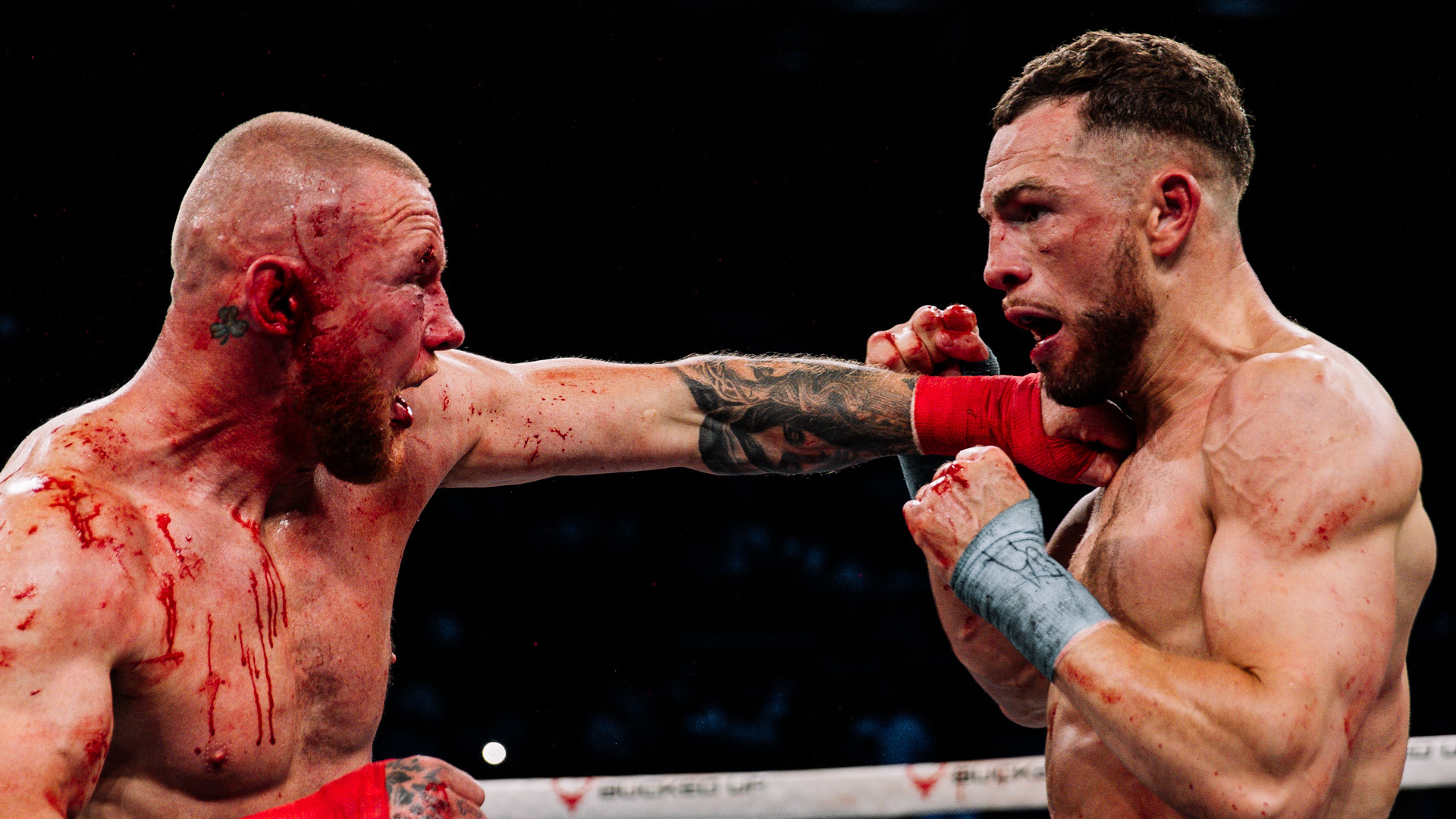 BKFC 77 Results | BKFC